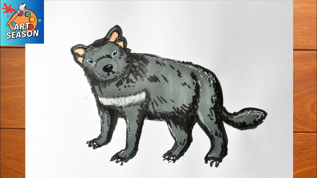 How to Draw a Tasmanian Devil - YouTube