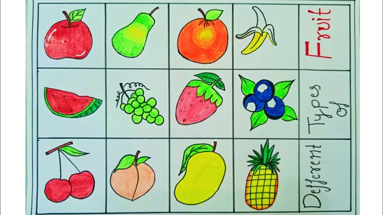 how to draw a fruit chart || different types of fruit || #art #drawing ...