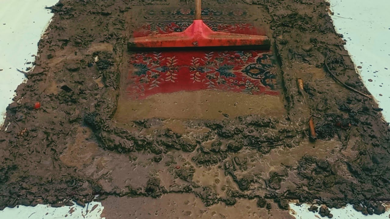 You have never seen a carpet this dirty in your life😳 - satisfying ...