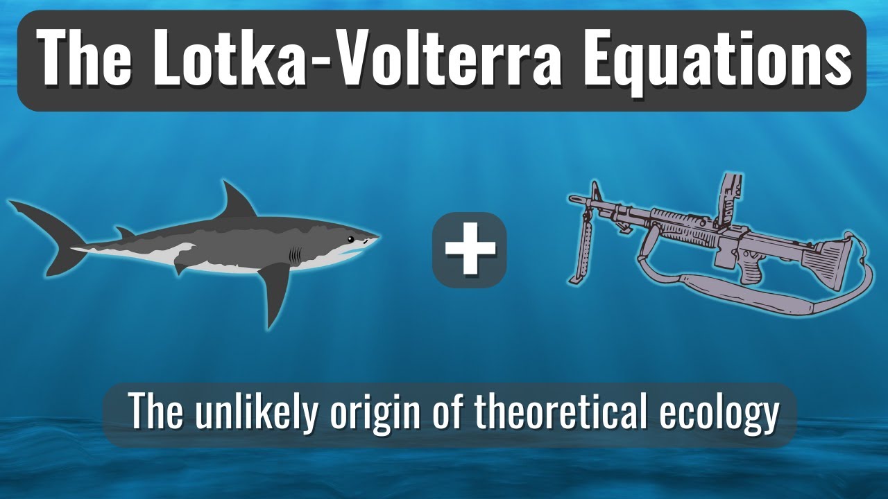 The Lotka-Volterra Equations: Sharks, Machine Guns, and Ecology - YouTube