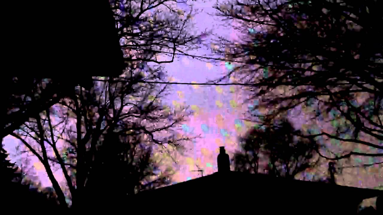 DSCN0735.MOV - YouTube