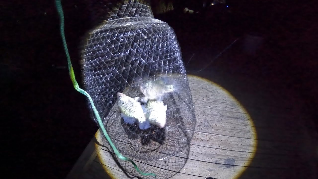 Doc fishing with Fishnutts - YouTube