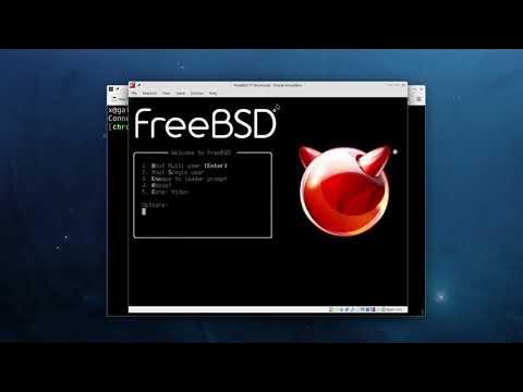 Building a custom kernel on FreeBSD - YouTube