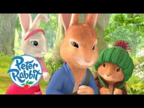 Cute Baby Rabbits Playing | peter rabbit |peter rabbit full episodes ...