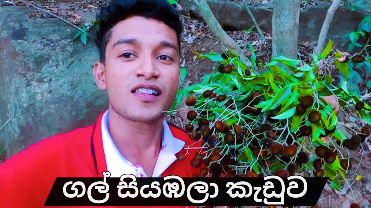 ගල් සියඹලා කැඩුව මචං | Gal Siyambala | Travel Vlog Sinhala | Travel ...