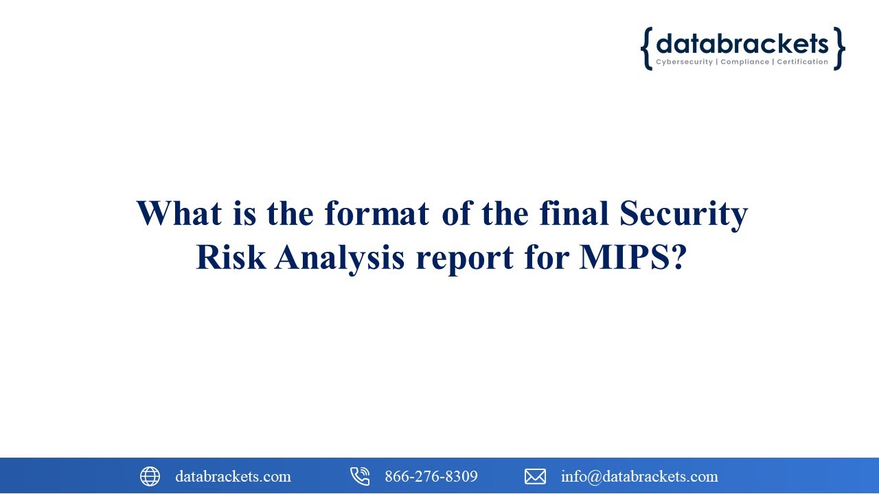 What is the format of the final Security Risk Analysis report for MIPS ...