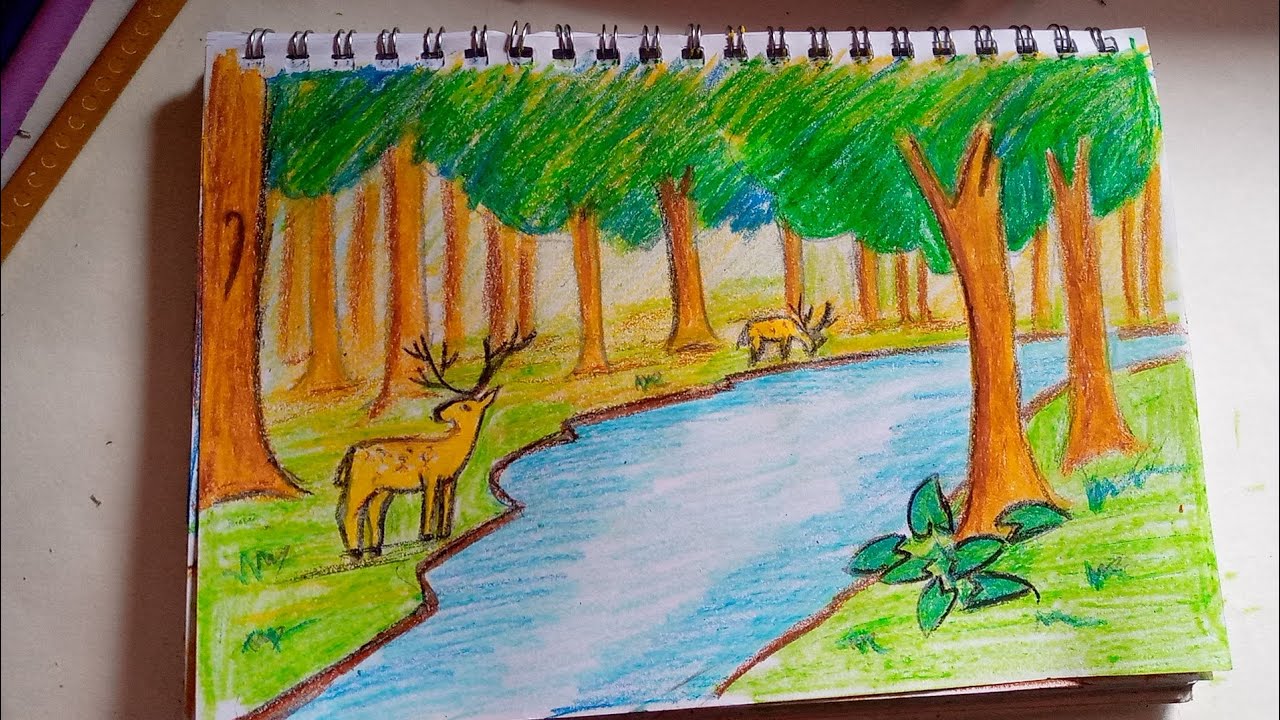 How to draw scenery of forest// Sundarban//step by step//very easy ...