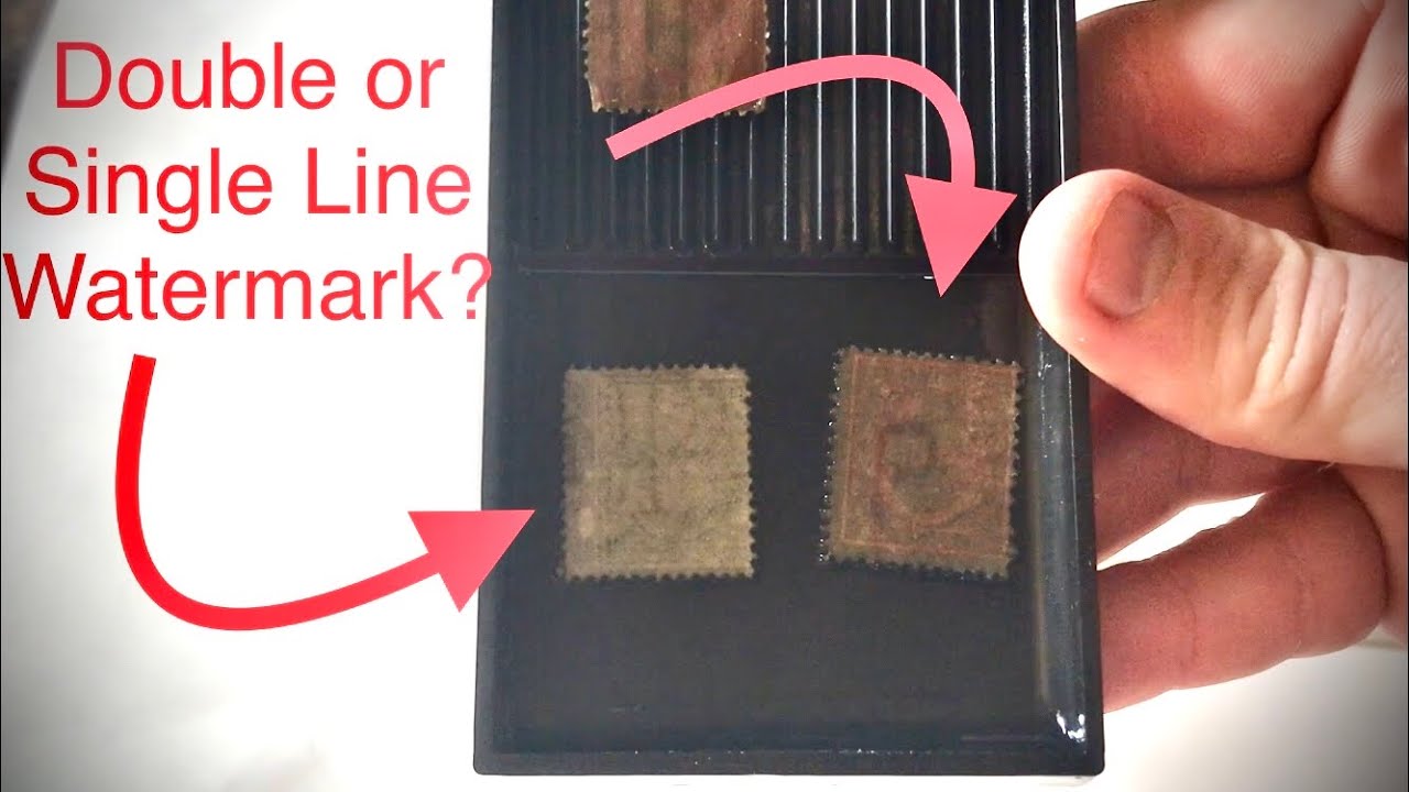 Double Line Watermark Vs. Single Line Watermark, What is the Difference ...