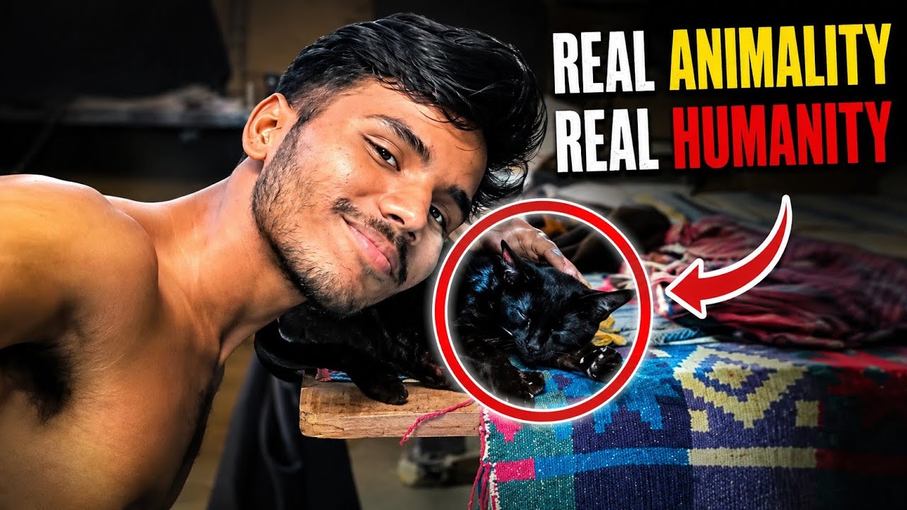 A Black Cat Taught Me Real Humanity 🖤 | Emotional Vlog - YouTube