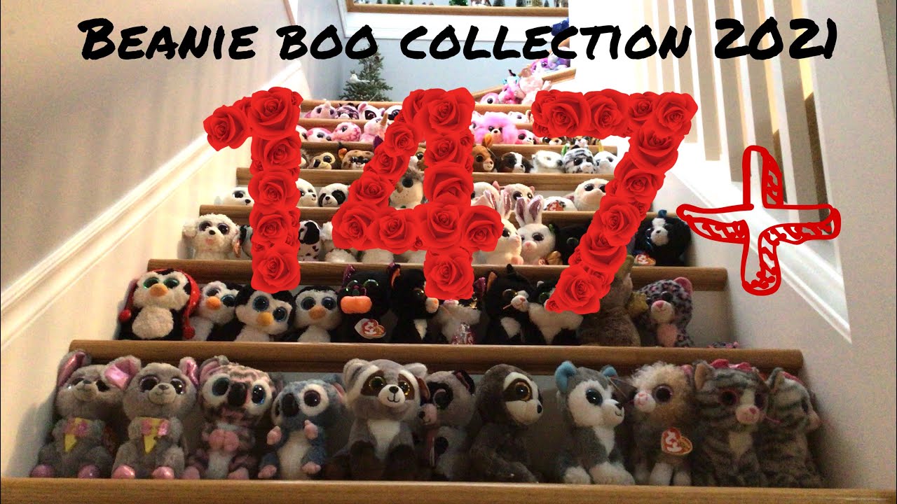 Beanie boo collection 2021 |147+ beanie boos| - YouTube
