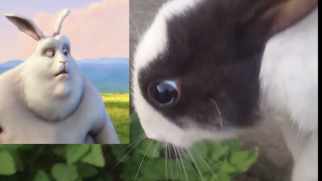 Funny and Cute Baby Bunny Rabbit video | scared Funny🐇 | Baby Animal ...