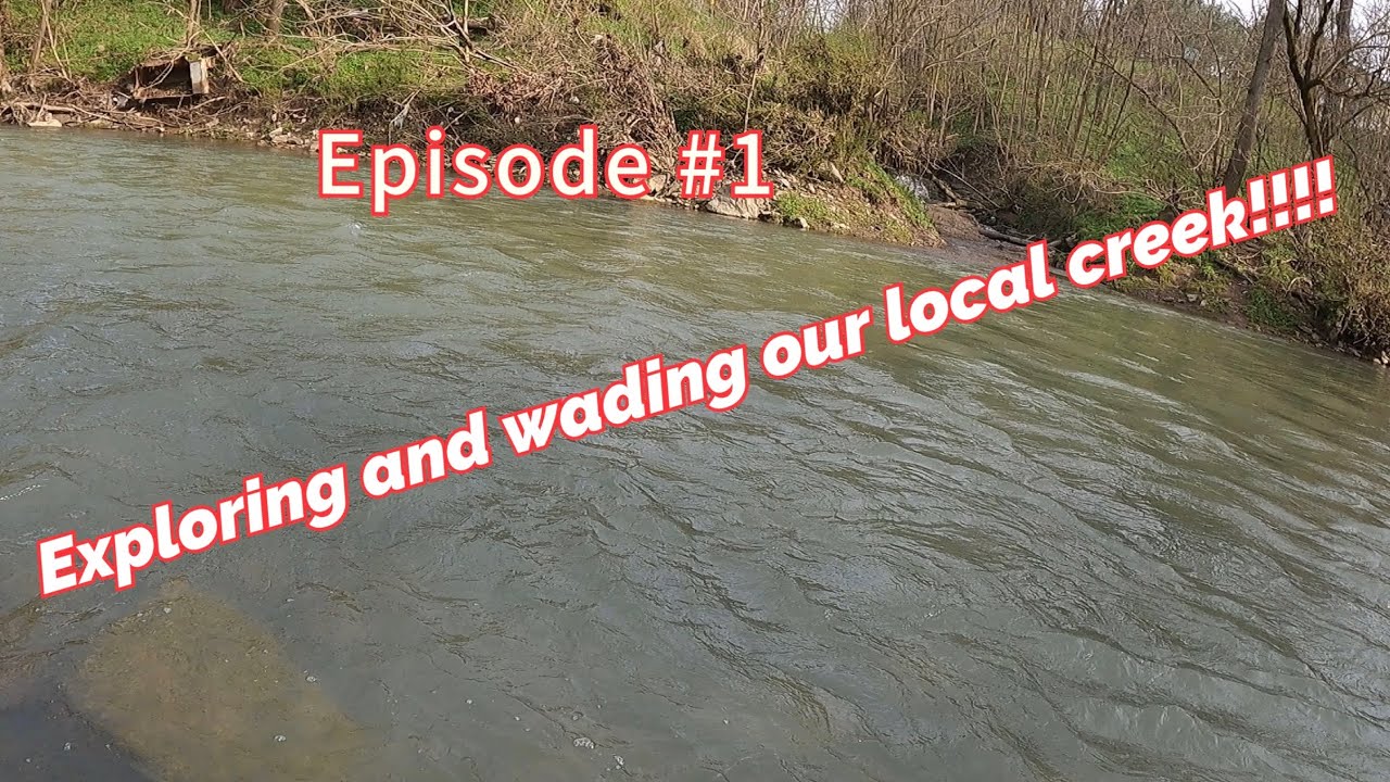 Exploring and wading our local creek with @outdoorboy604 and other of ...