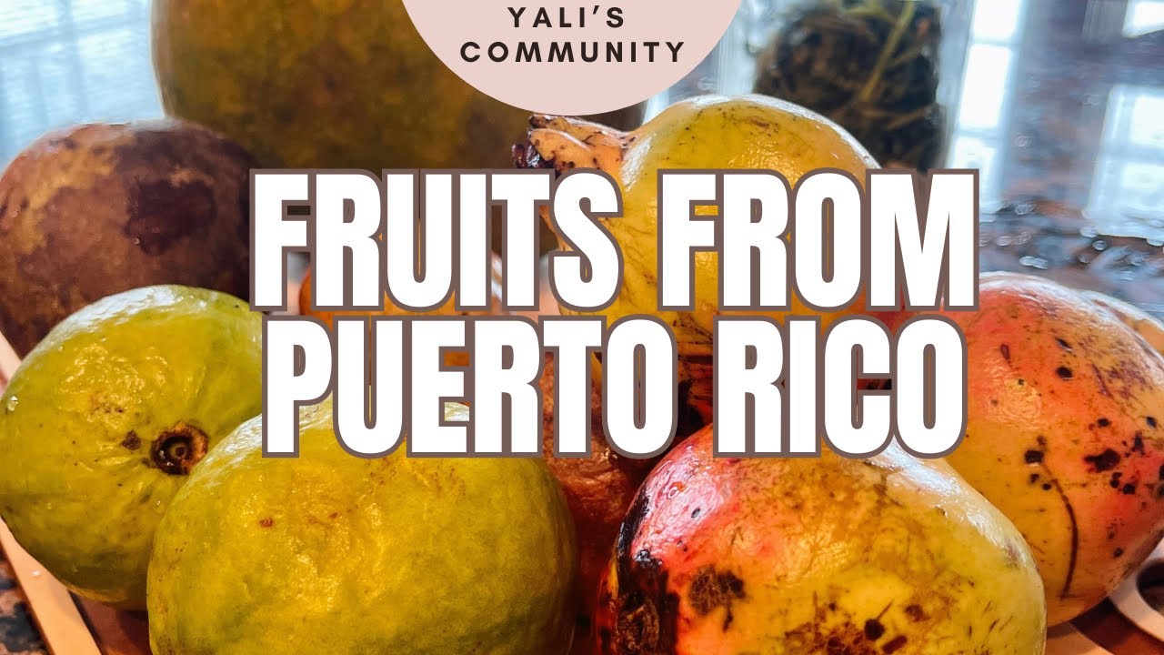 FRUITS FROM PUERTO RICO (Lechosa, Granada, Guayaba, Corazon) y Dulces ...