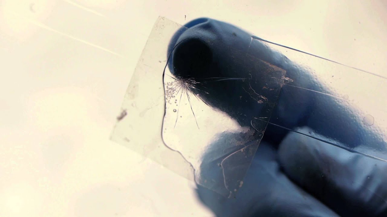 How to repair a windshield - Combination Floating Crack - Delta Kits ...