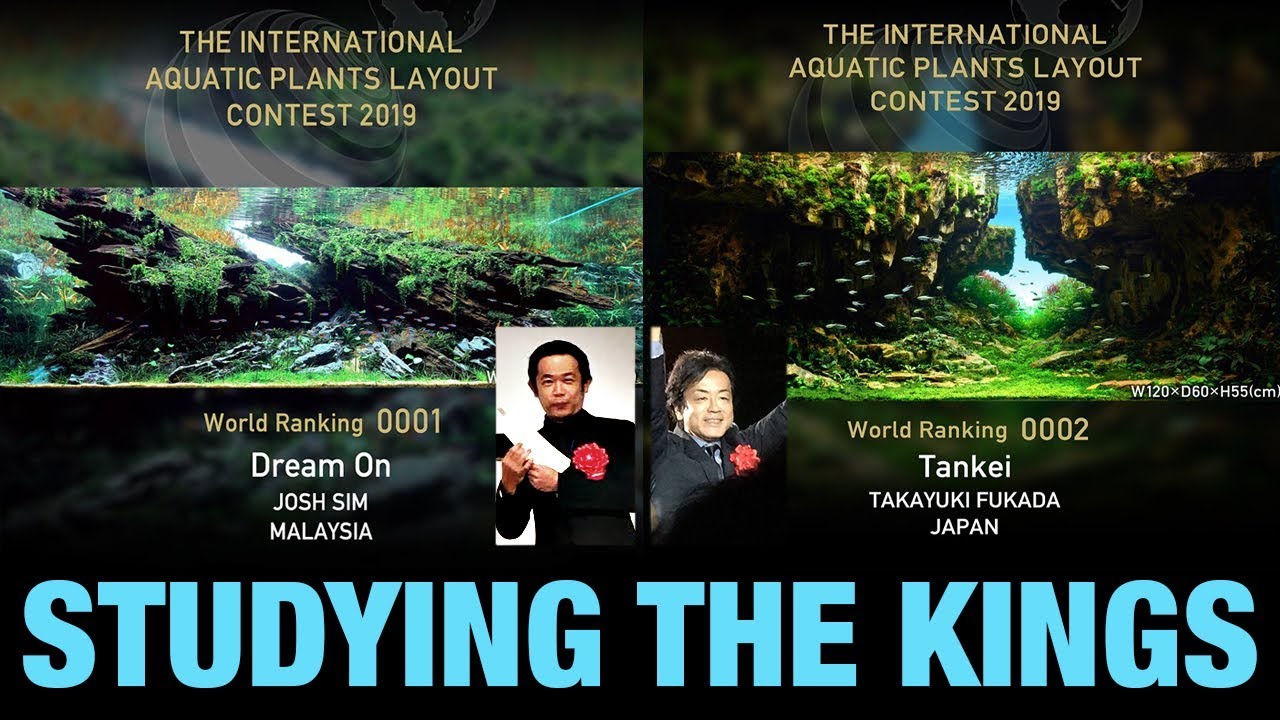 Aquascape Rank 1 & 2 IAPLC 2019, Studying Josh Sim & Takayuki Fukada ...