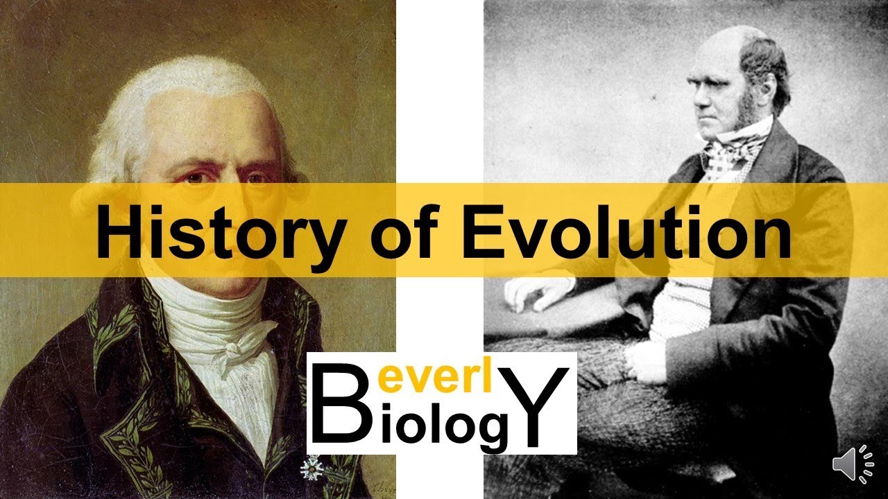 History of Evolution (updated) - YouTube