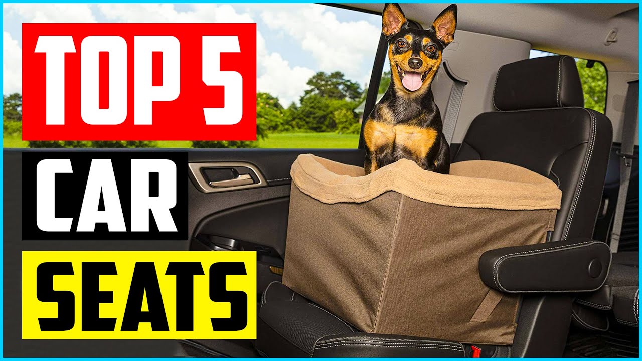 Top 5 Best Dog Booster Car Seats in 2021 Reviews - YouTube