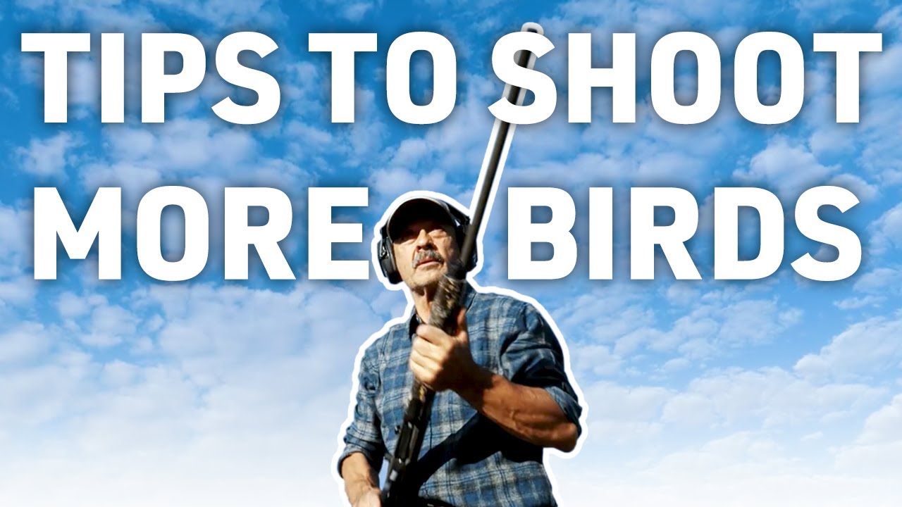 How to SHOOT More BIRDS with a SHOTGUN - YouTube