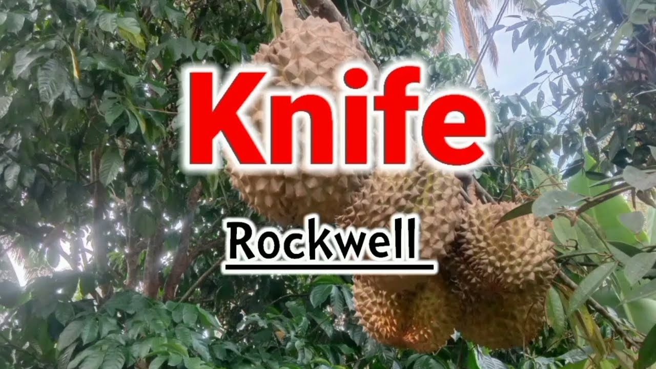 Knife | Rockwell with lyrics karaoke - YouTube
