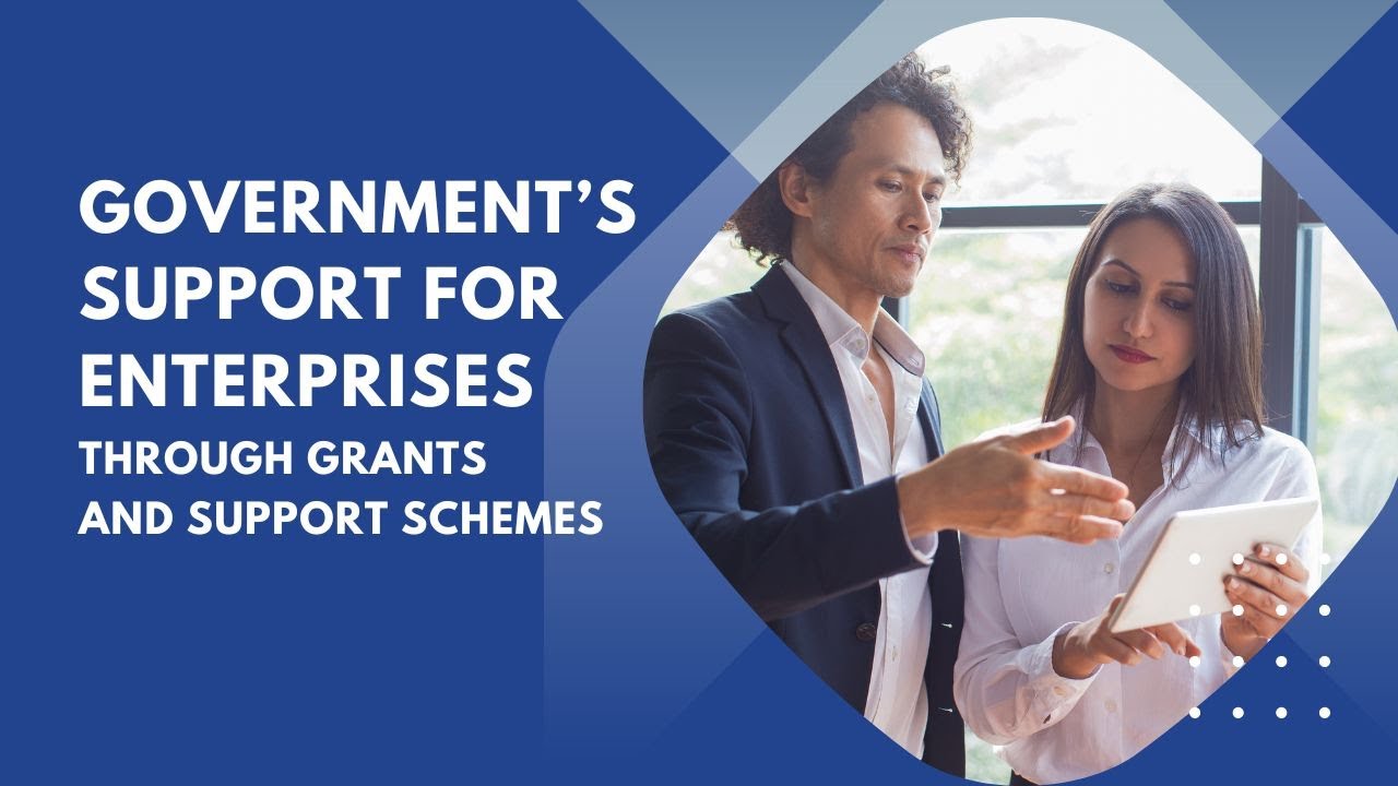 Government’s Support for Enterprises Through Grants and Support Schemes ...