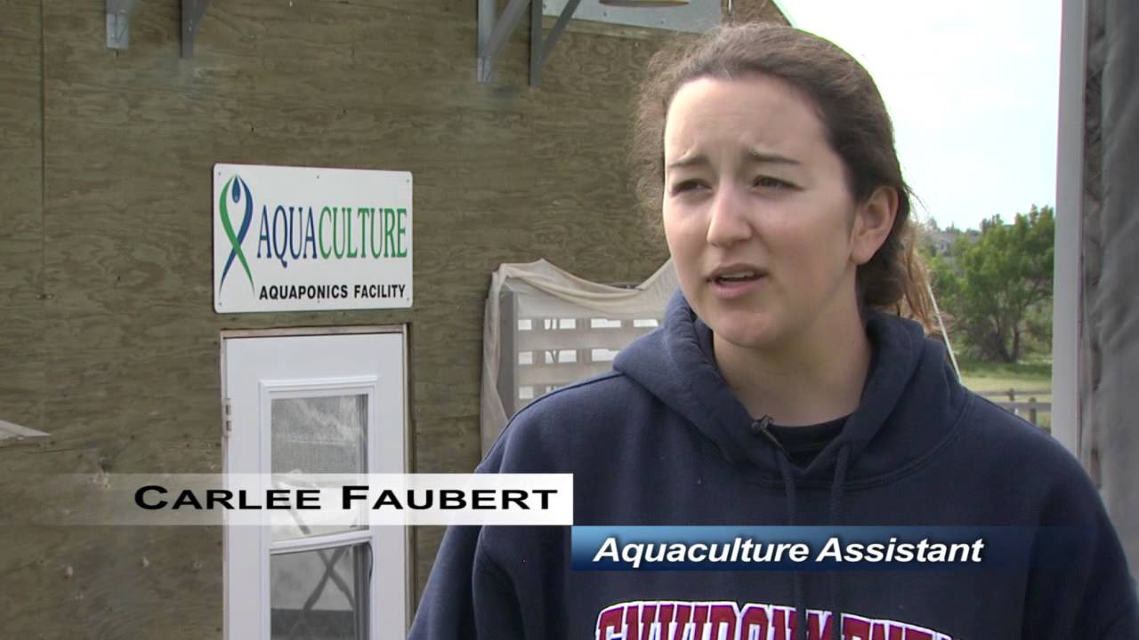 inclusive-post-secondary-education-ipse-lethbridge-college-youtube