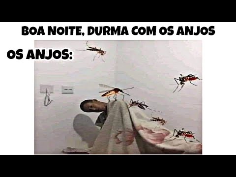 30 MINUTOS DE MEMES EM IMAGENS - DURMA COM OS ANJOS KKK 😂 - YouTube