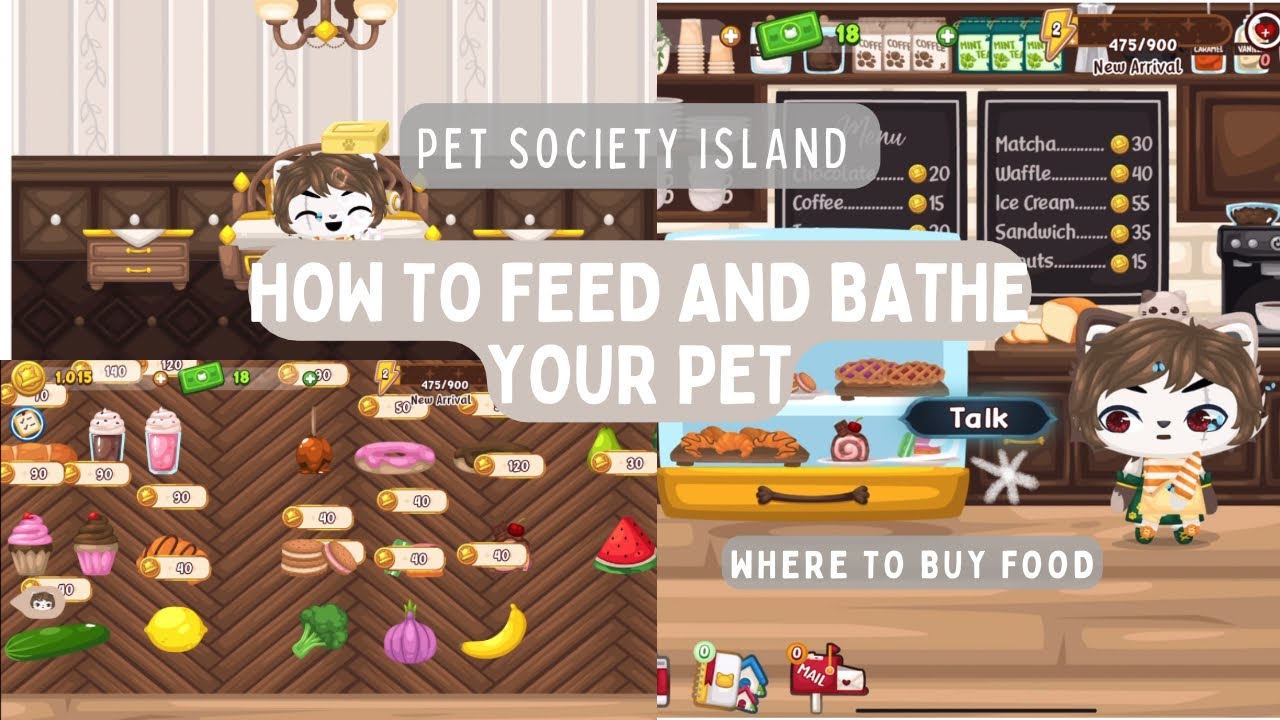 PET SOCIETY ISLAND | HOW TO FEED AND BATHE | IOS | ANDROID - YouTube