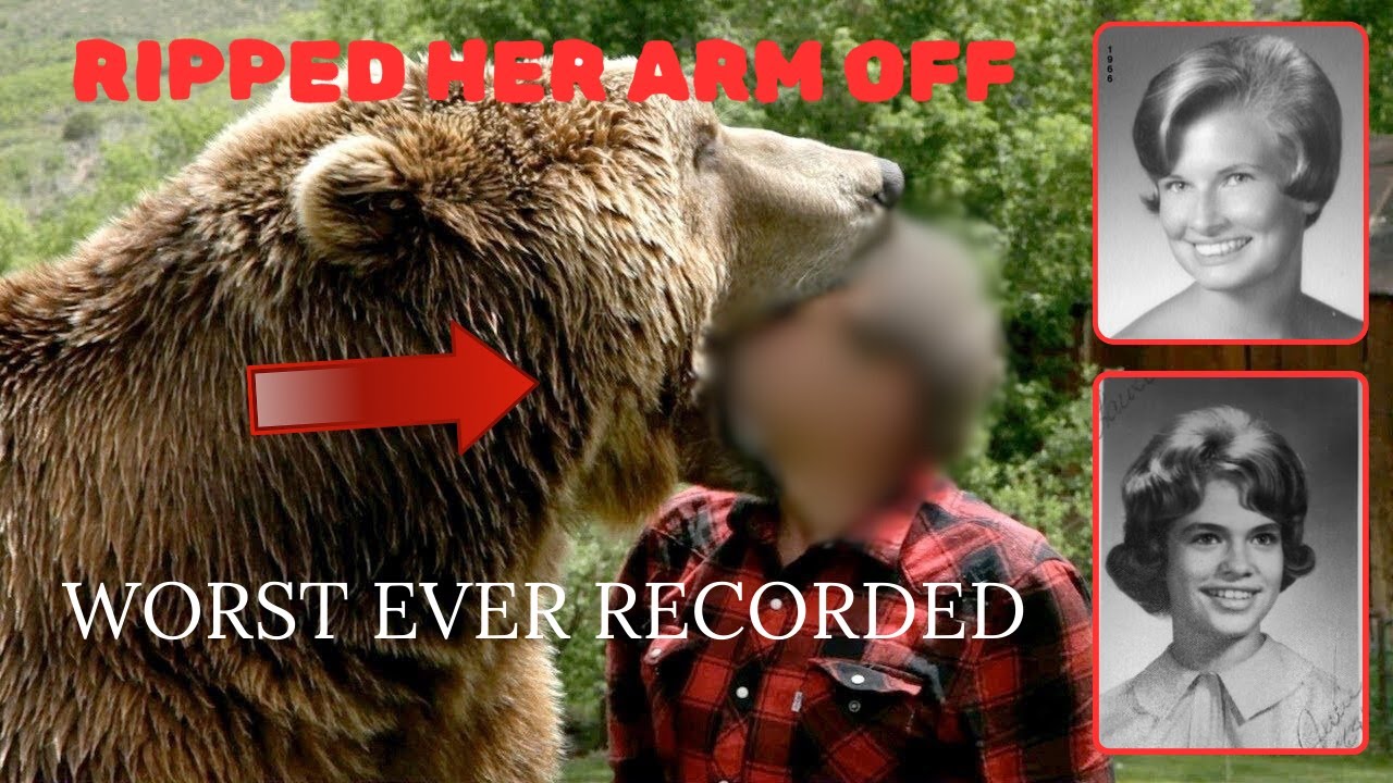 Wild Animals GONE WRONG! Grizzly Bears Attack 2 Young Women - YouTube