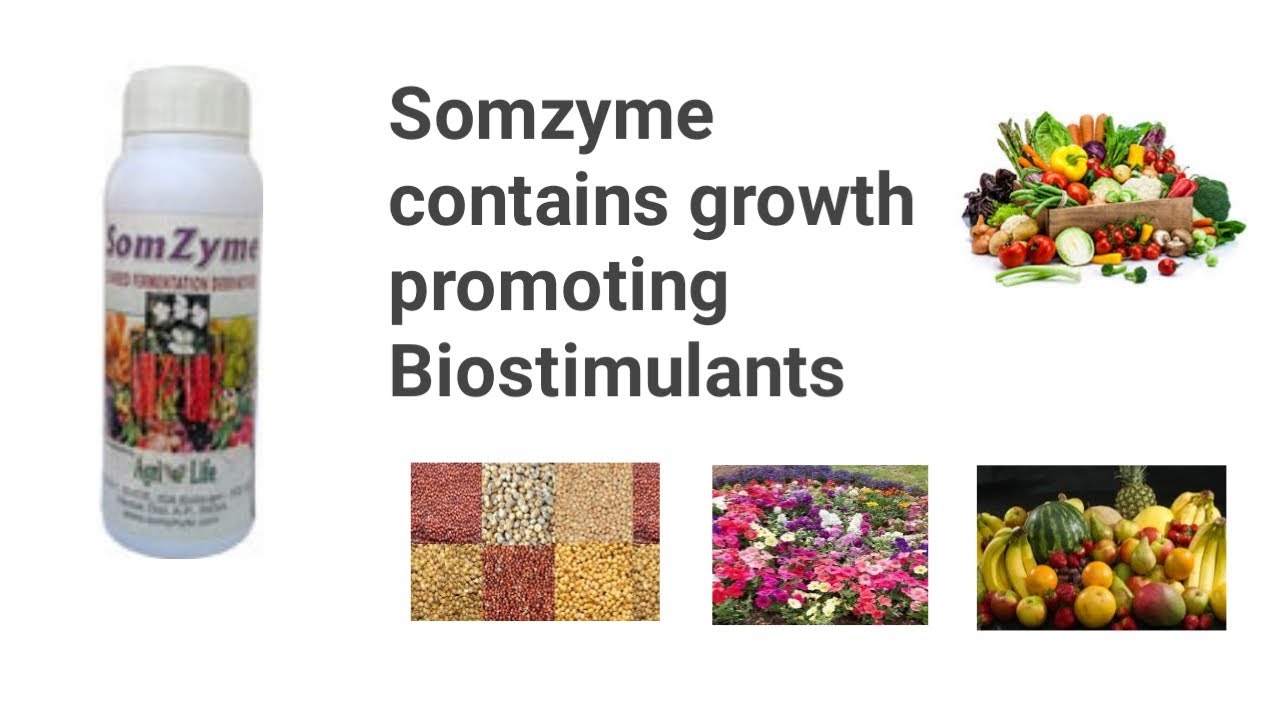Somzyme contains growth promoting #Biostimulant # ...