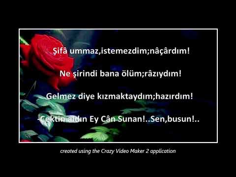 SEN BUSUN (Âh-u Deryâ-4)