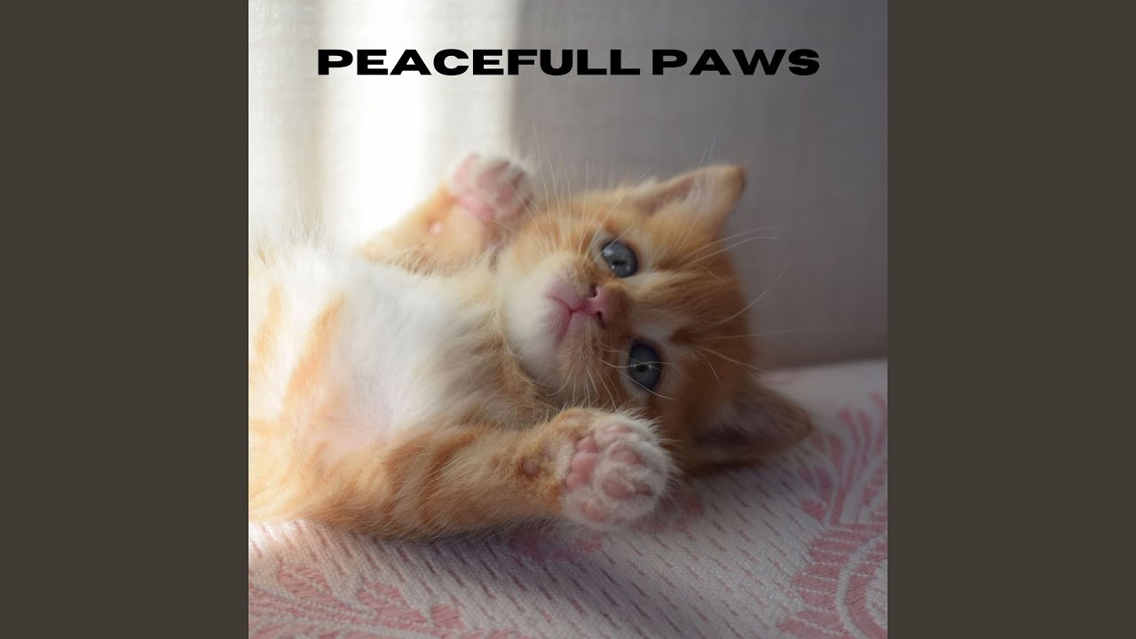 Harmony's Embrace (Loopable, No Fade) - YouTube