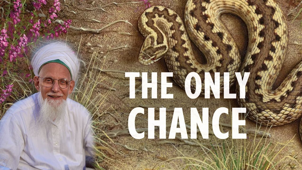 The Only Chance - YouTube