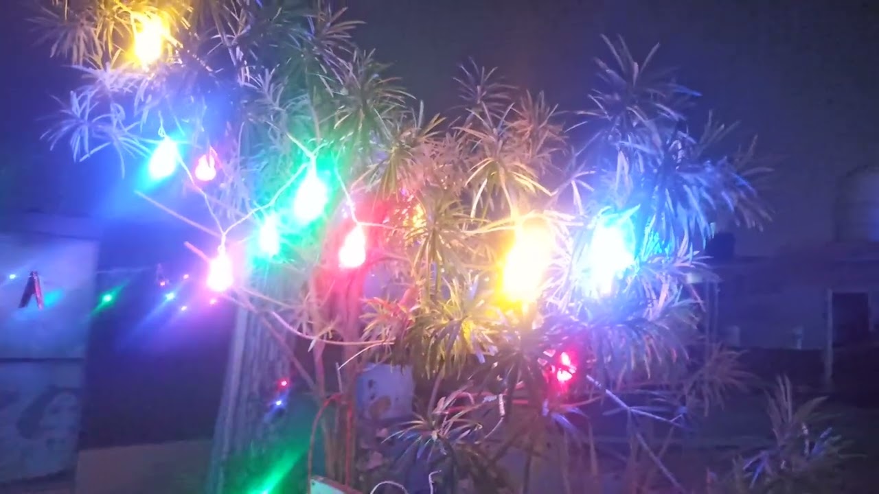 Beautiful diwali tree 🎄🎄 decoration ideas 💡 - YouTube