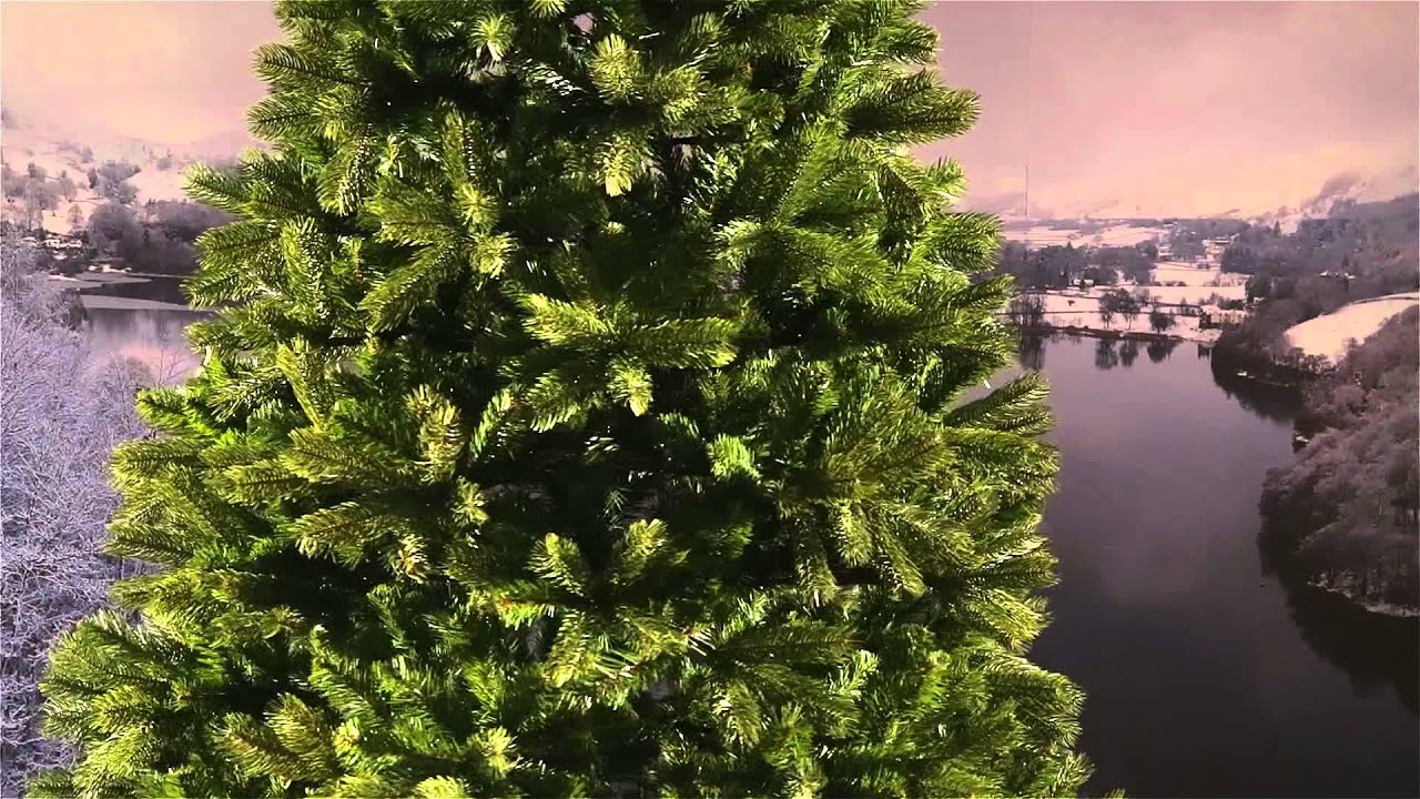 National Tree Bayberry Spruce 7 ft - YouTube
