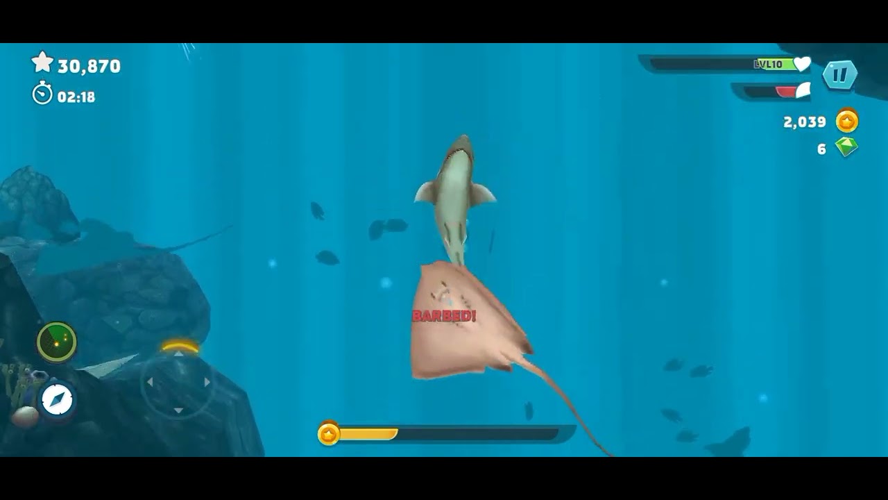 THE LIFE OF SHARK - YouTube