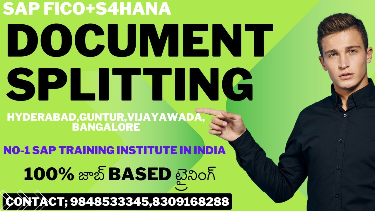#DOCUMENT SPLITTING COMPLETE CONCEPT,What is Sample Document in SAP FICO,Document Splitting ...