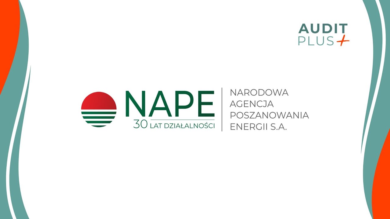 Audit Plus Partner´s: NAPE. Marek Amrozy, Head of energy efficiency department - YouTube