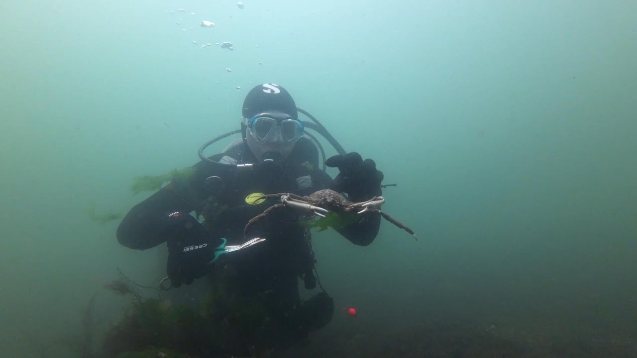 Cleaning up the Dive Site and saving an entangled crab! NJ Scuba Diving ...