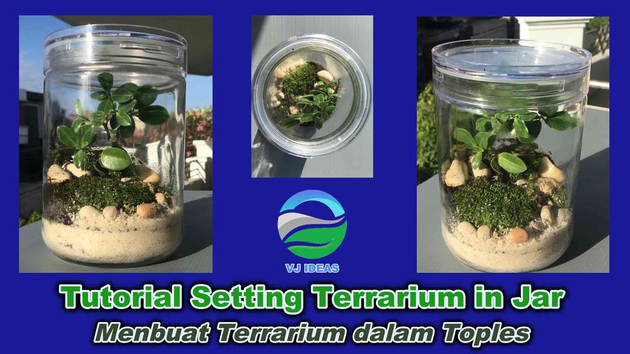 Tutorial Setting Terrarium in Jar - YouTube