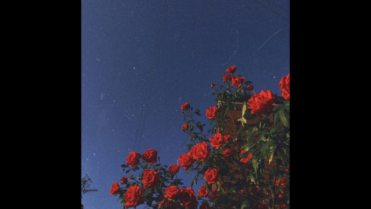 Abra - Roses - YouTube