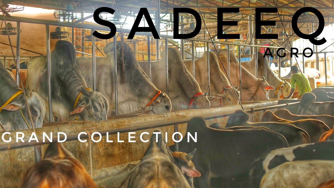 Super Sadeeq Agro 360 || Grand Collection 2018 || All in one | The Home ...