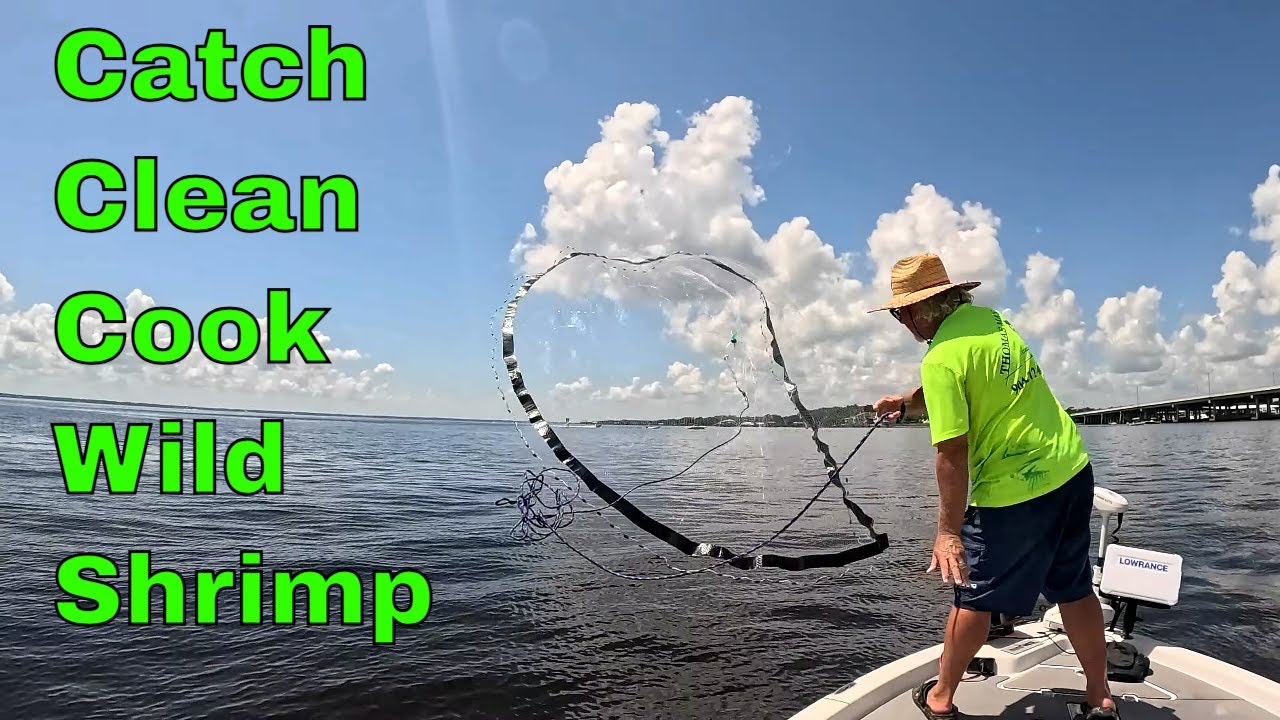 HOW TO CATCH SHRIMP - CATCH CLEAN AND COOK WILD SHRIMP TACOS - YouTube