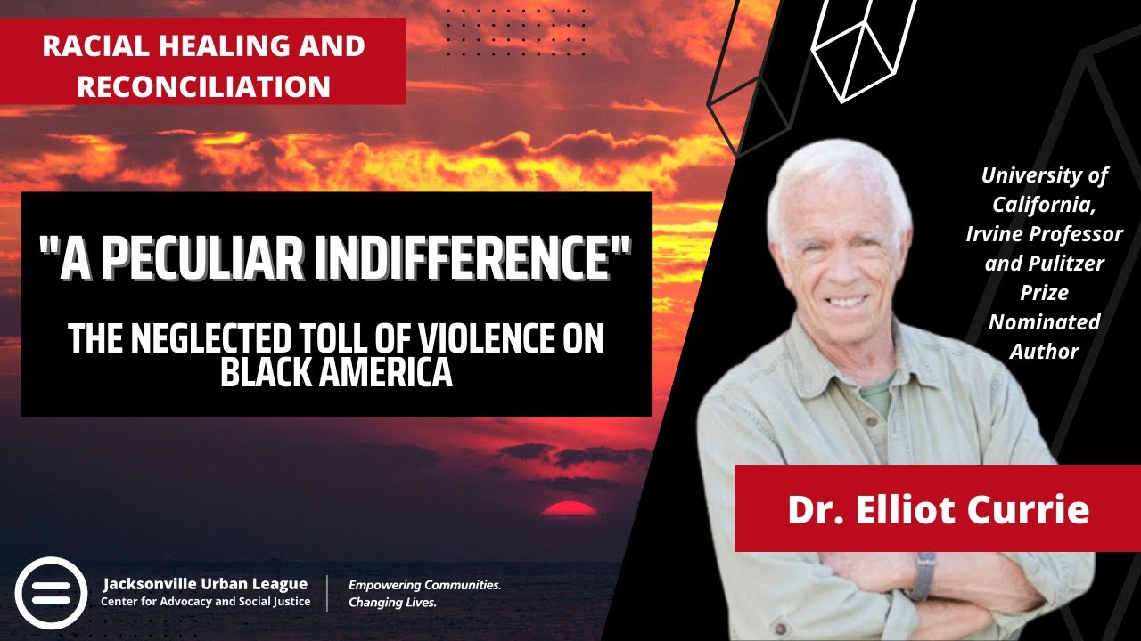 A Peculiar Indifference: The Neglected Toll of Violence on Black ...