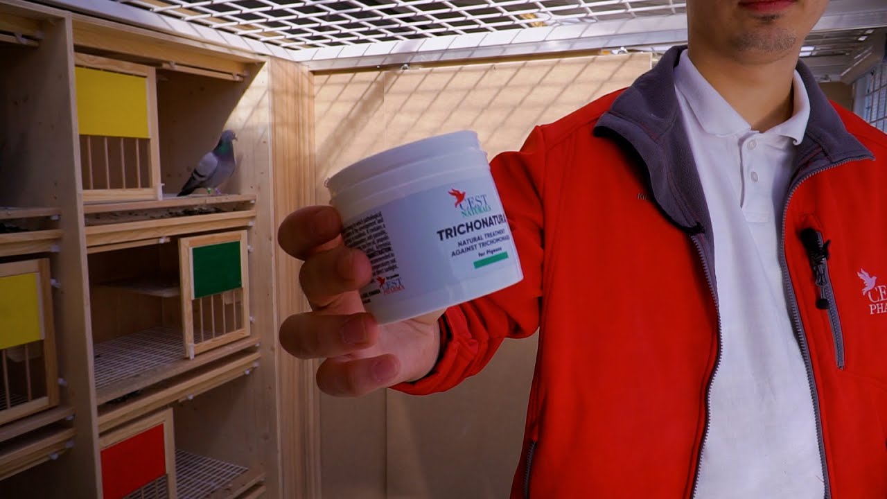 Trichonatura - Cest Pharma - YouTube