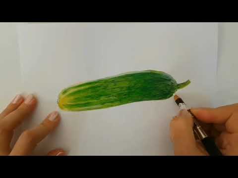 Kuru Boya Salatalık Nasıl Çizilir 1