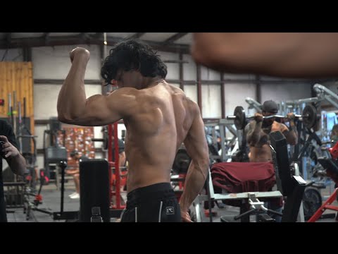 Full Powerbuilding Back Day - YouTube