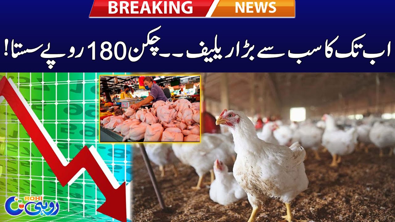 Breaking News l Big Decrease In Chicken Price l Rohi - YouTube