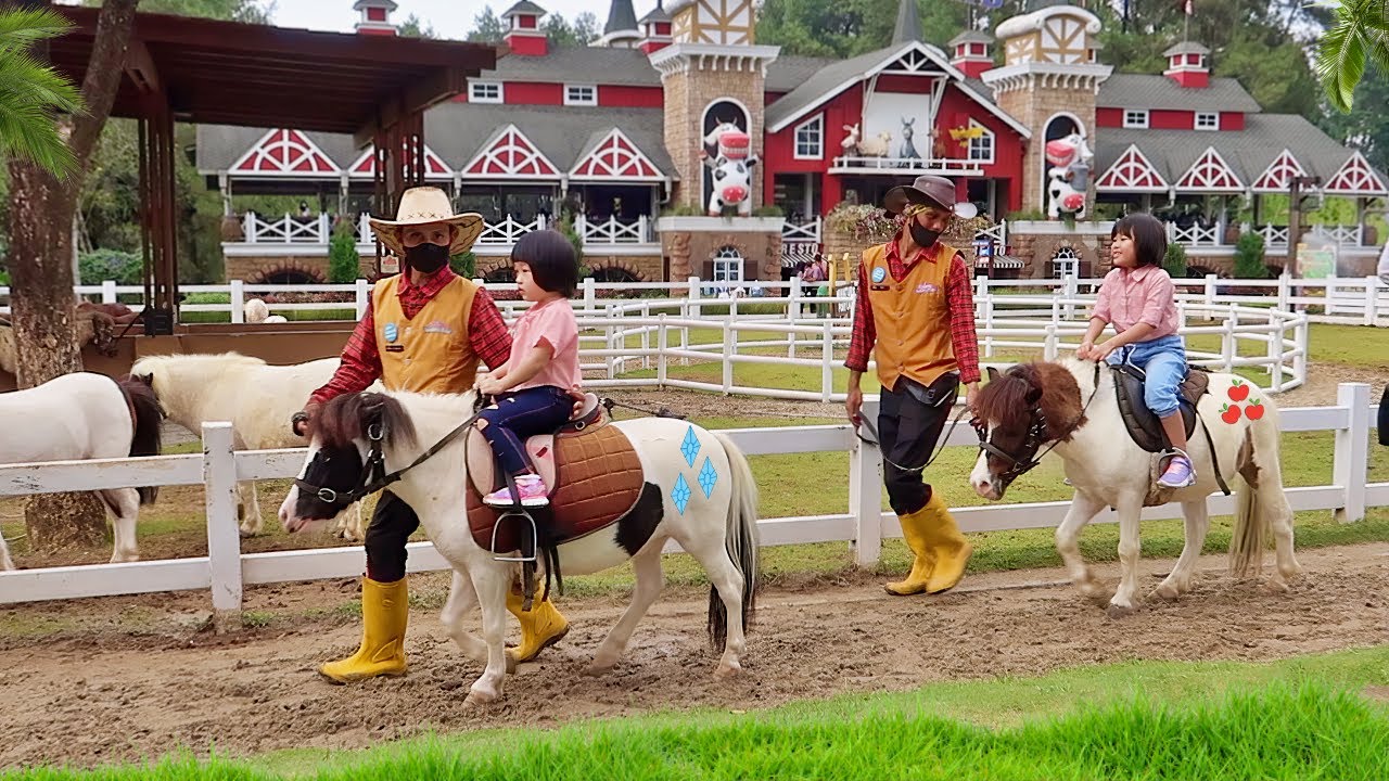 Naik Kuda Poni Lucu Banget, Kasih Makan Kuda My Little Poni - Mengenal ...
