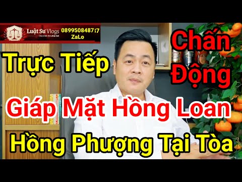🔴 Hồng Loan Giáp Mặt Hồng Phượng Tại Tòa Trong Vụ Án Cố NSUT Vũ Linh ? Luật Sư Vlogs