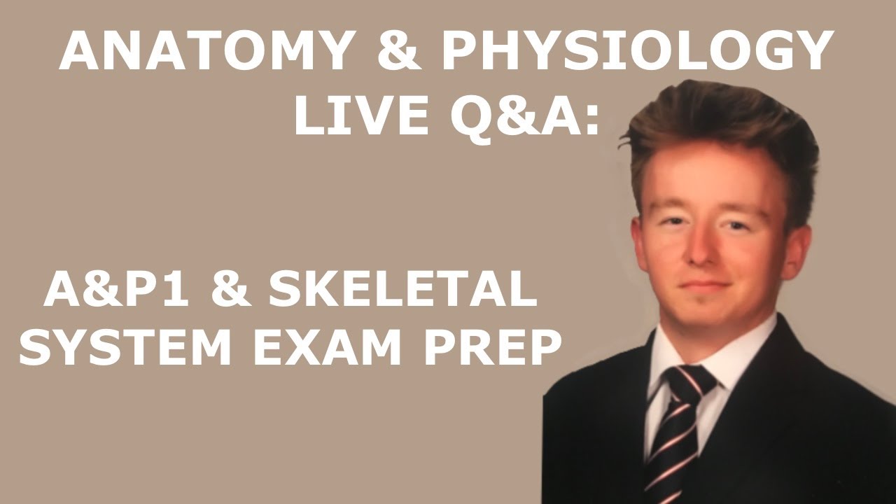 Anatomy & Physiology LIVE Q&A: AP1: Skeletal System Exam Prep - YouTube